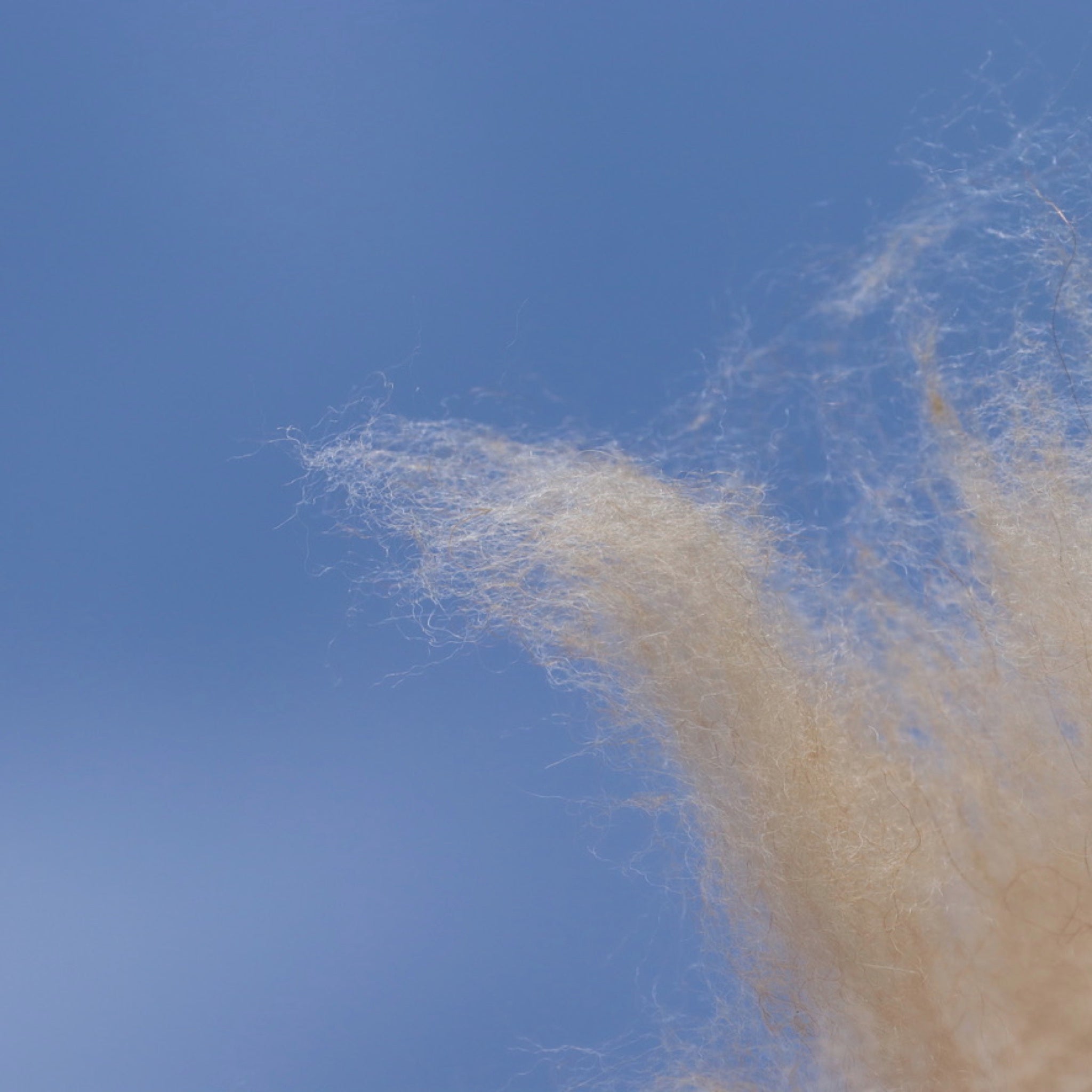 "Unknown" materials and combinations – CASANOVA&CO